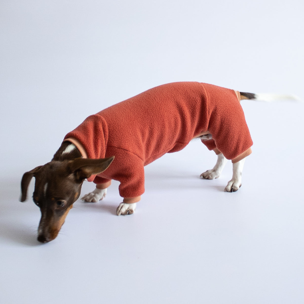 Polar fleece overall for dachshund Terracotta – Karma Hund Shop